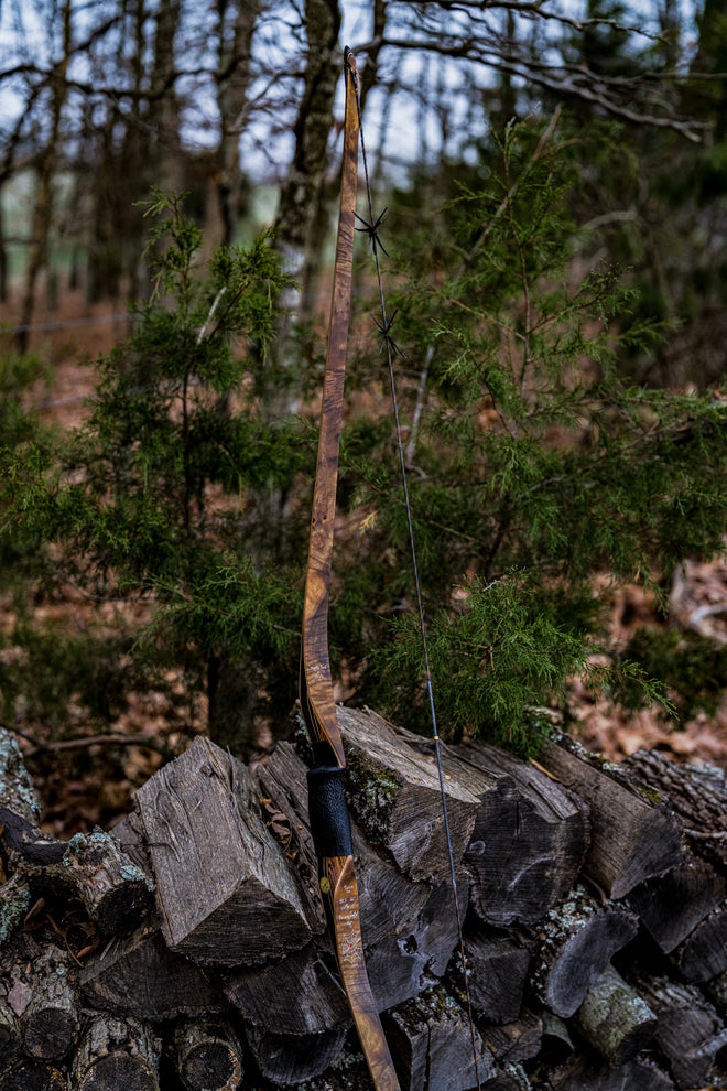 Build Your Bow – Black Widow Bows
