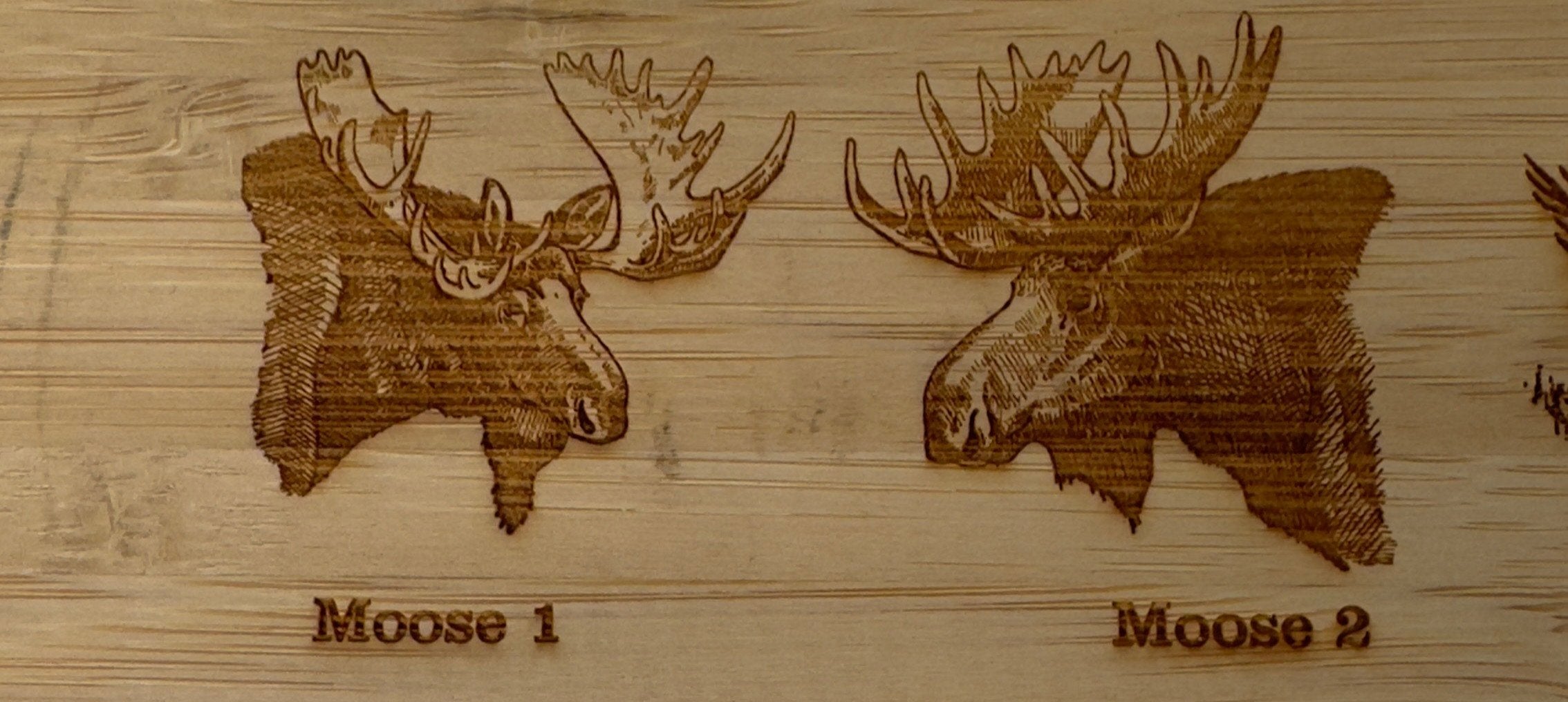 Wilson Brothers Bows – Black Widow Bows