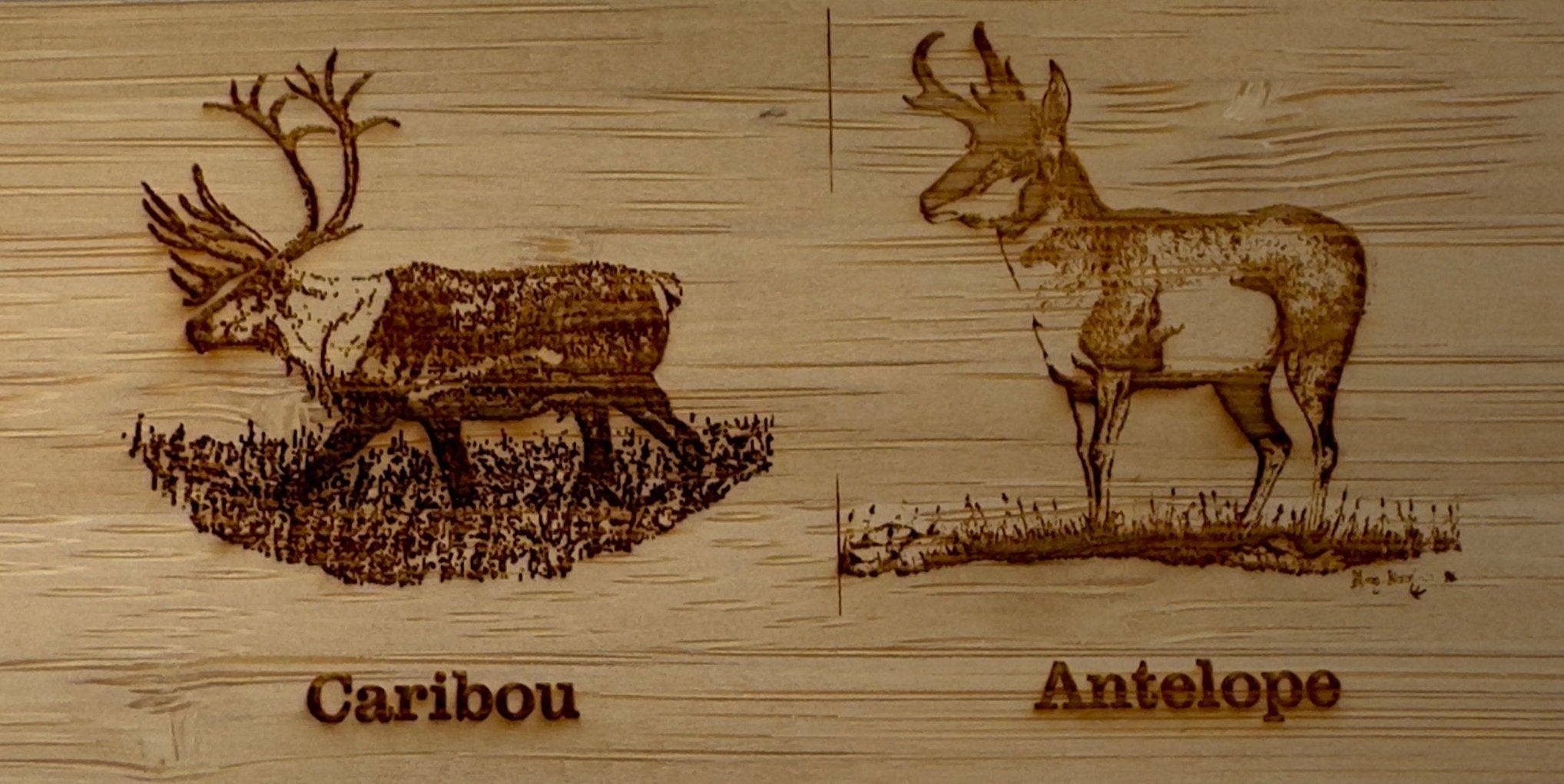 Wilson Brothers Bows – Black Widow Bows