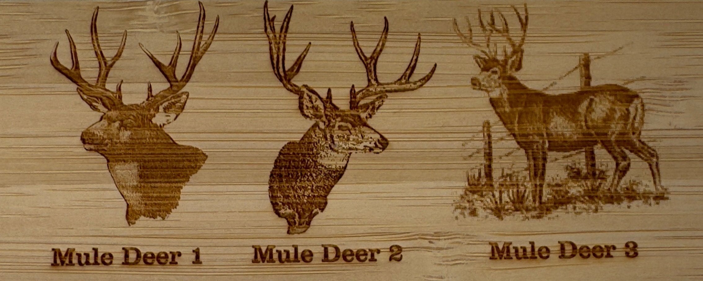 Wilson Brothers Bows – Black Widow Bows