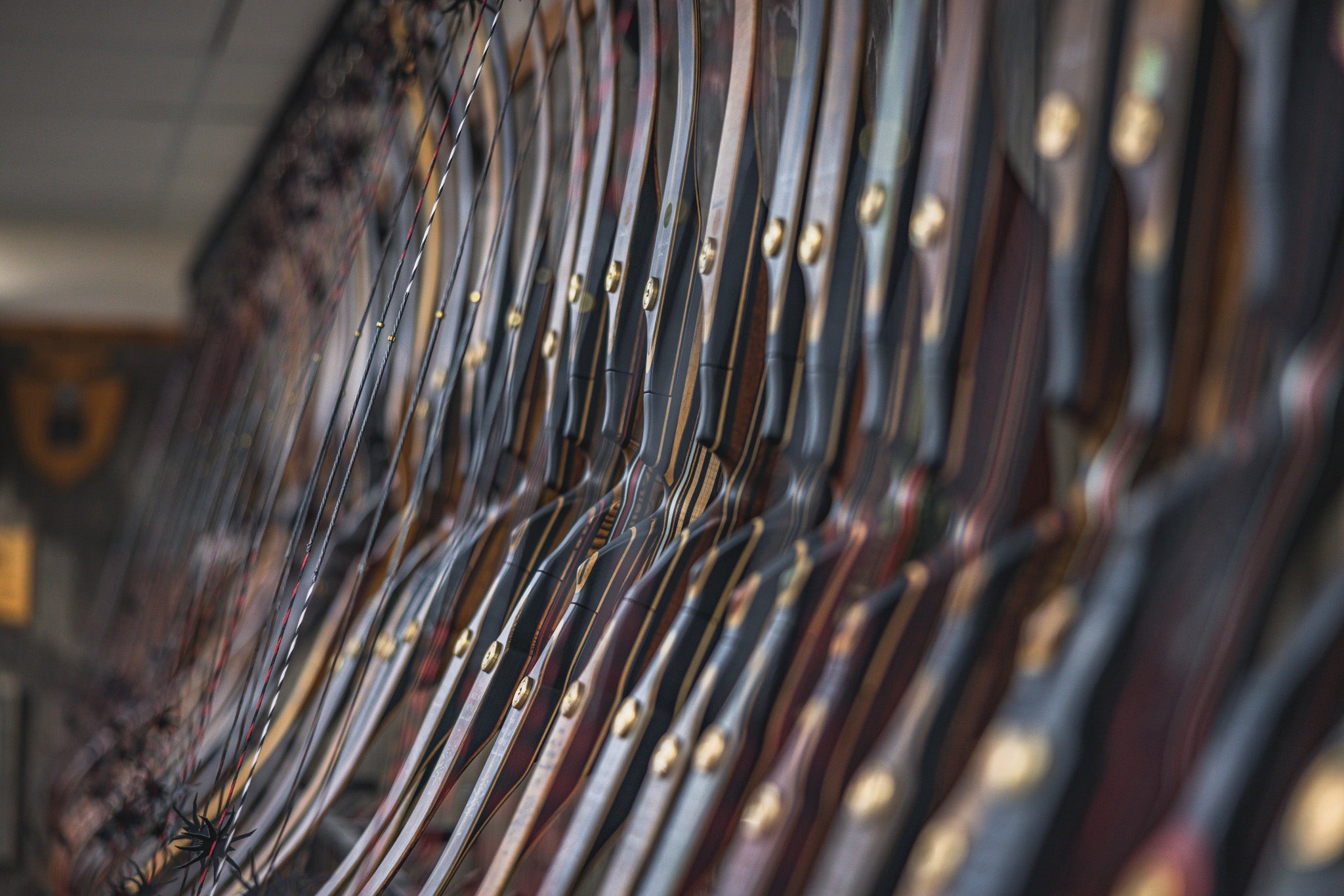 Bow Information – Black Widow Bows