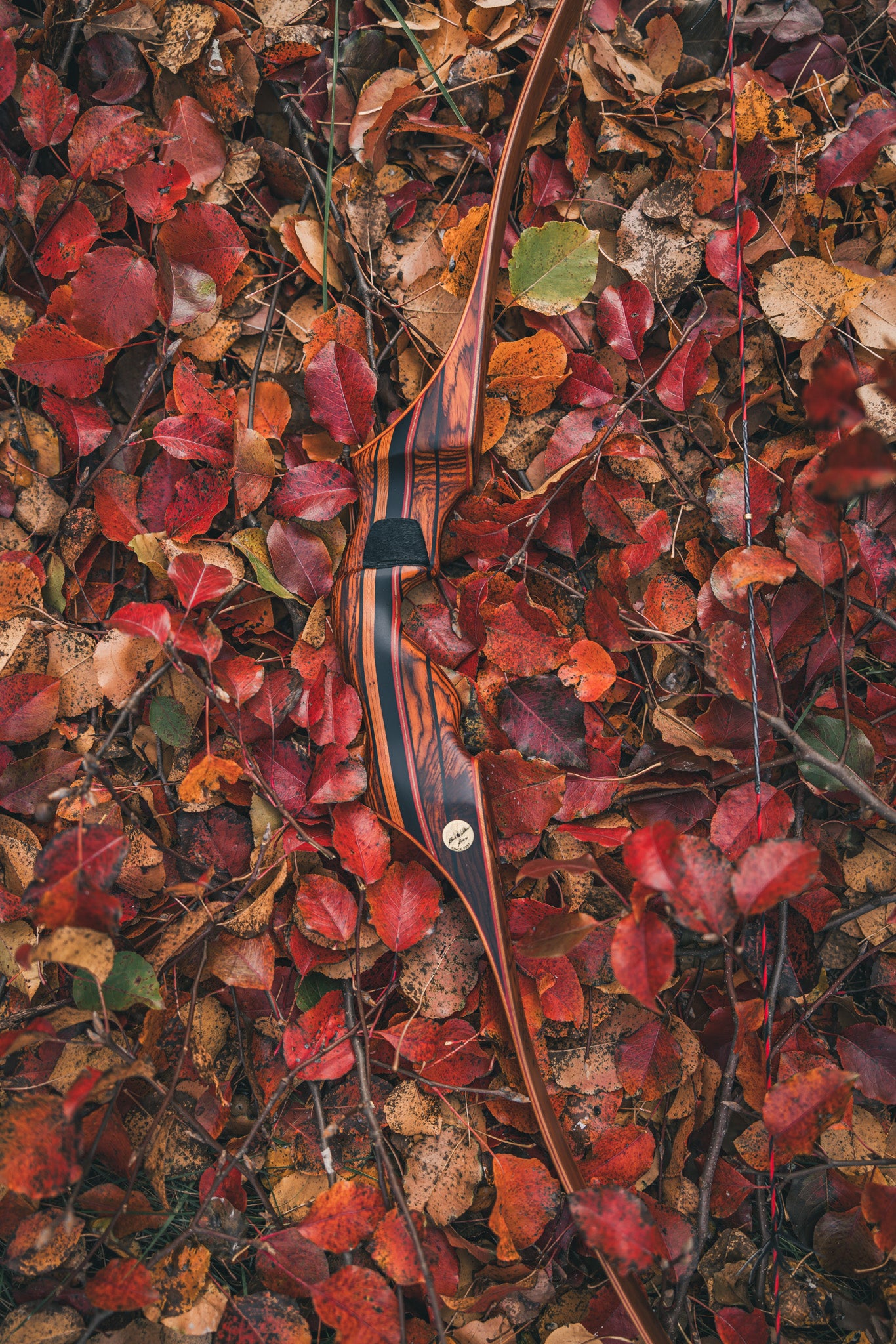 Wilson Brothers Bows – Black Widow Bows