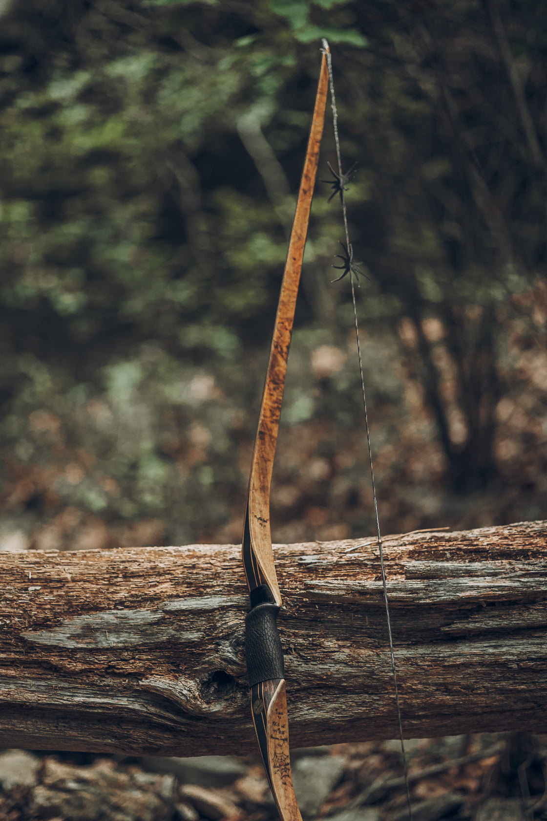 PL Custom Bows – Black Widow Bows