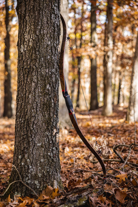 Build Your Bow – Black Widow Bows