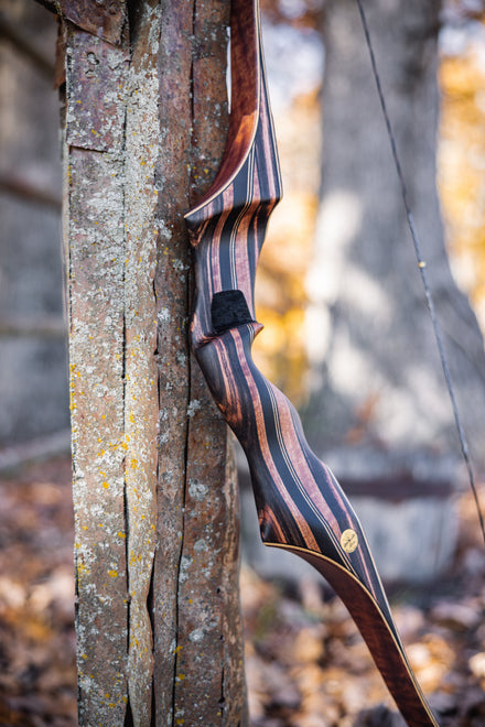 Build Your Bow – Black Widow Bows